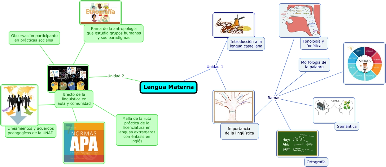 LENGUA MATERNA PASO O